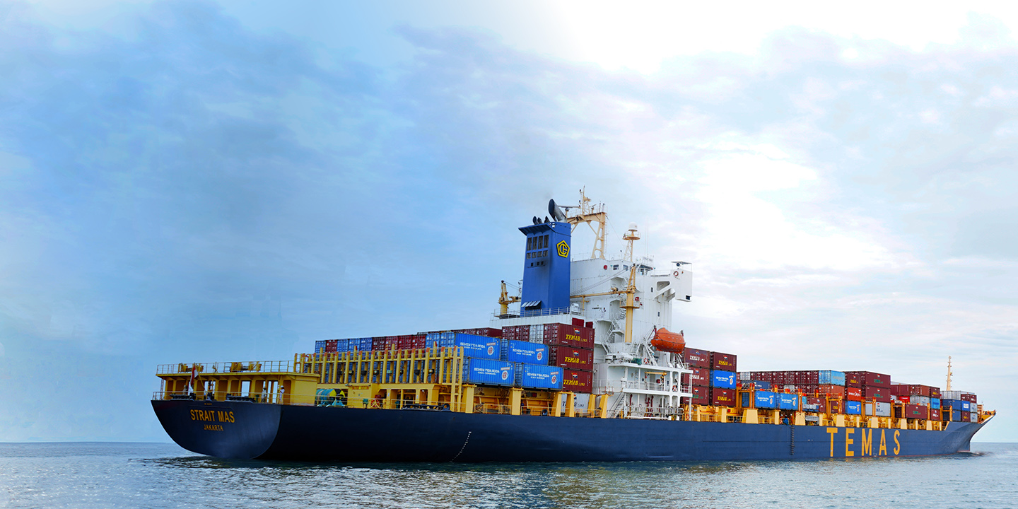 temasline hero image